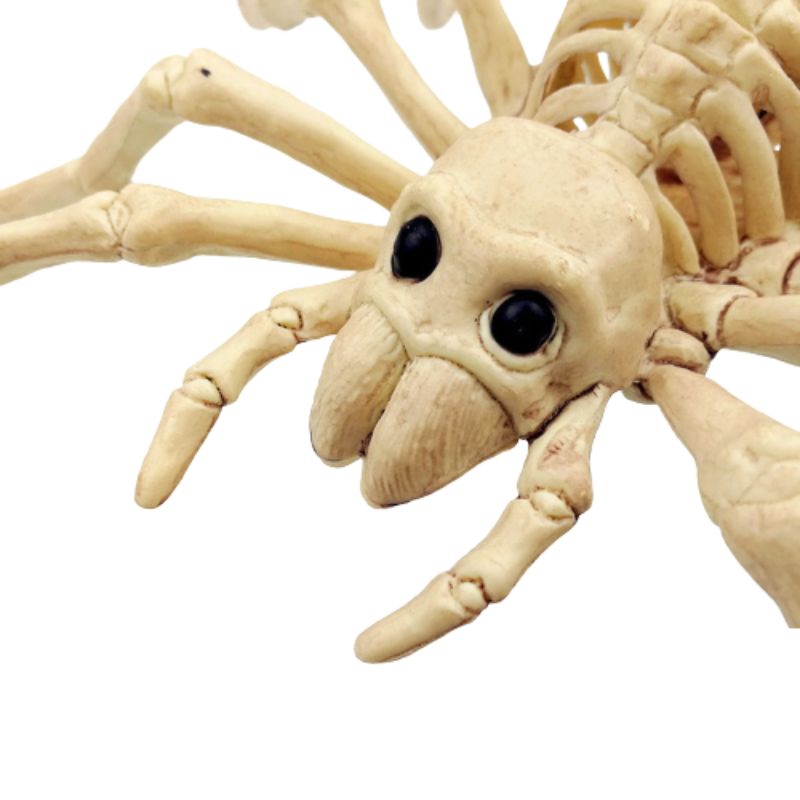 Scheletro Mouse Halloween – Sedona Shop