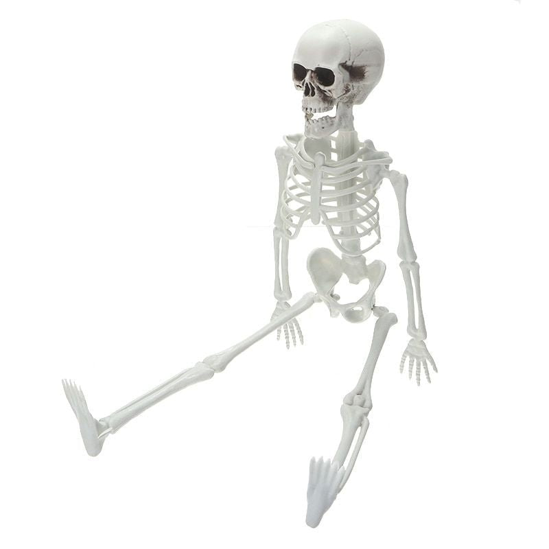 Scheletro di Halloween | Decorazione per la festa di Halloween – Sedona ...