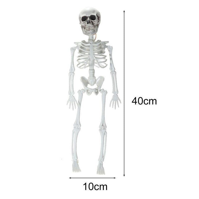 Scheletro di Halloween | Decorazione per la festa di Halloween – Sedona ...